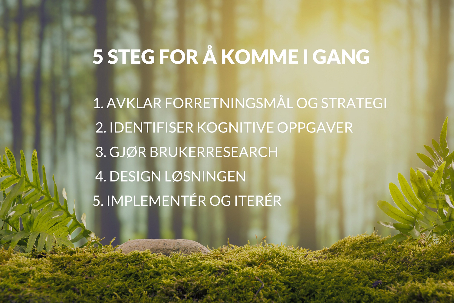 5 steg for å komme i gang med AI-produkter